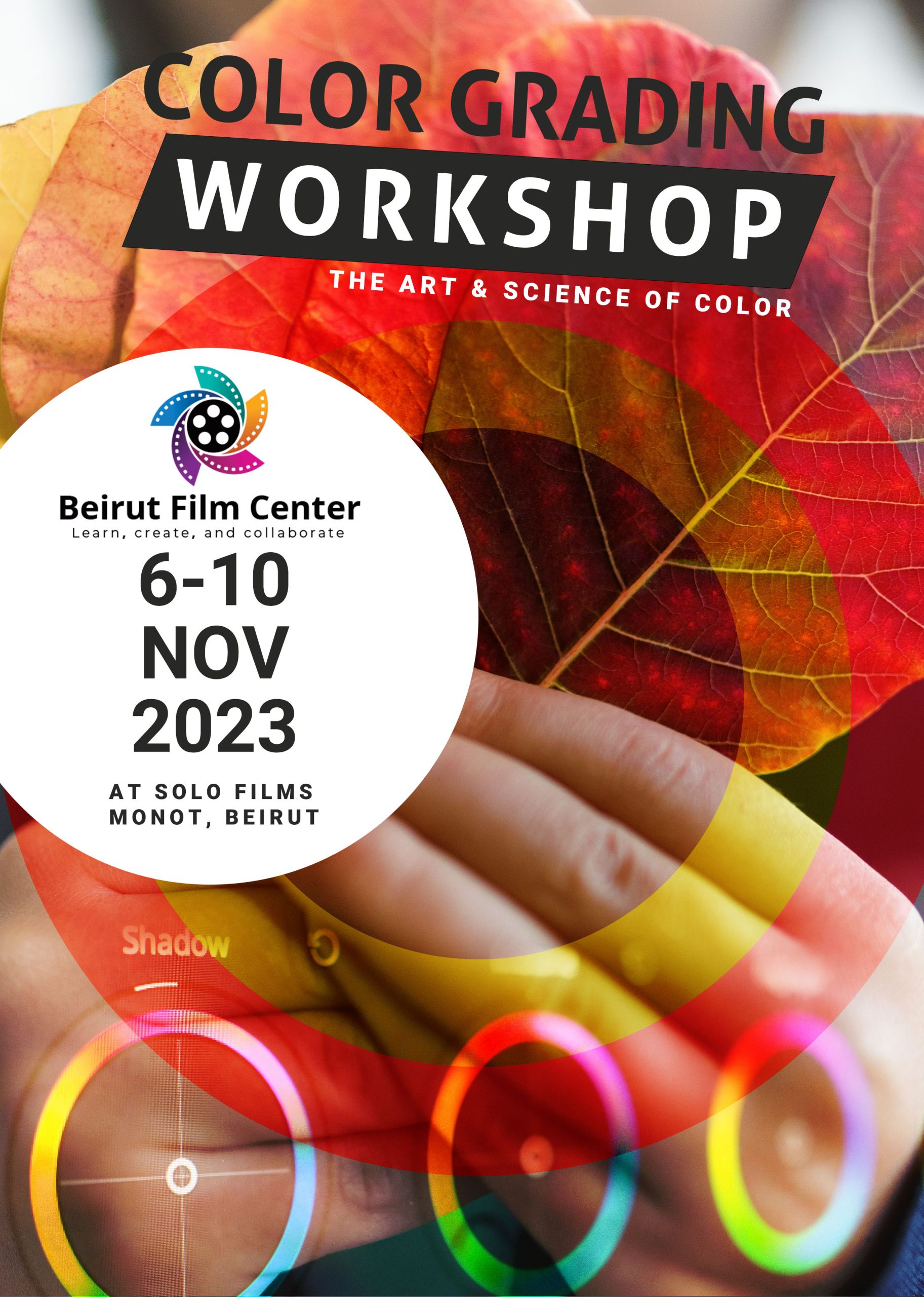 BFC-Color-Grading-Workshop-Poster-copy-scaled – Filmaty